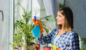 Maid In Ireland – 5 Star Cleaning at Affordable Prices